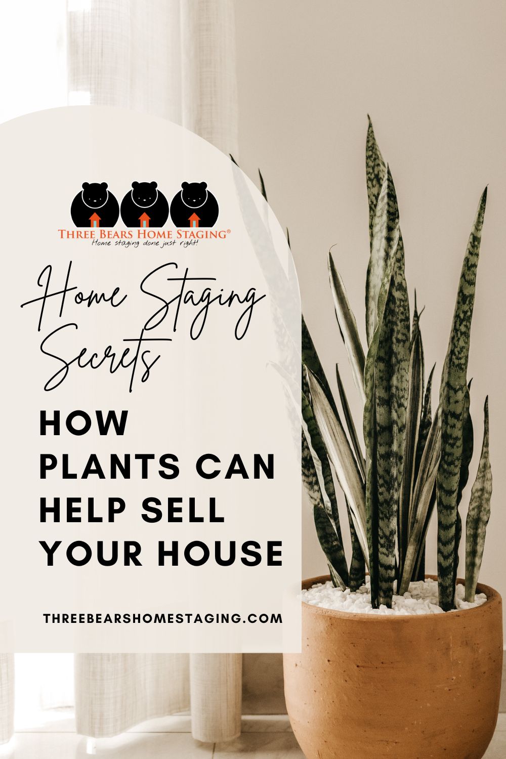 Home Staging Secrets: How Plants Can Help Sell Your House